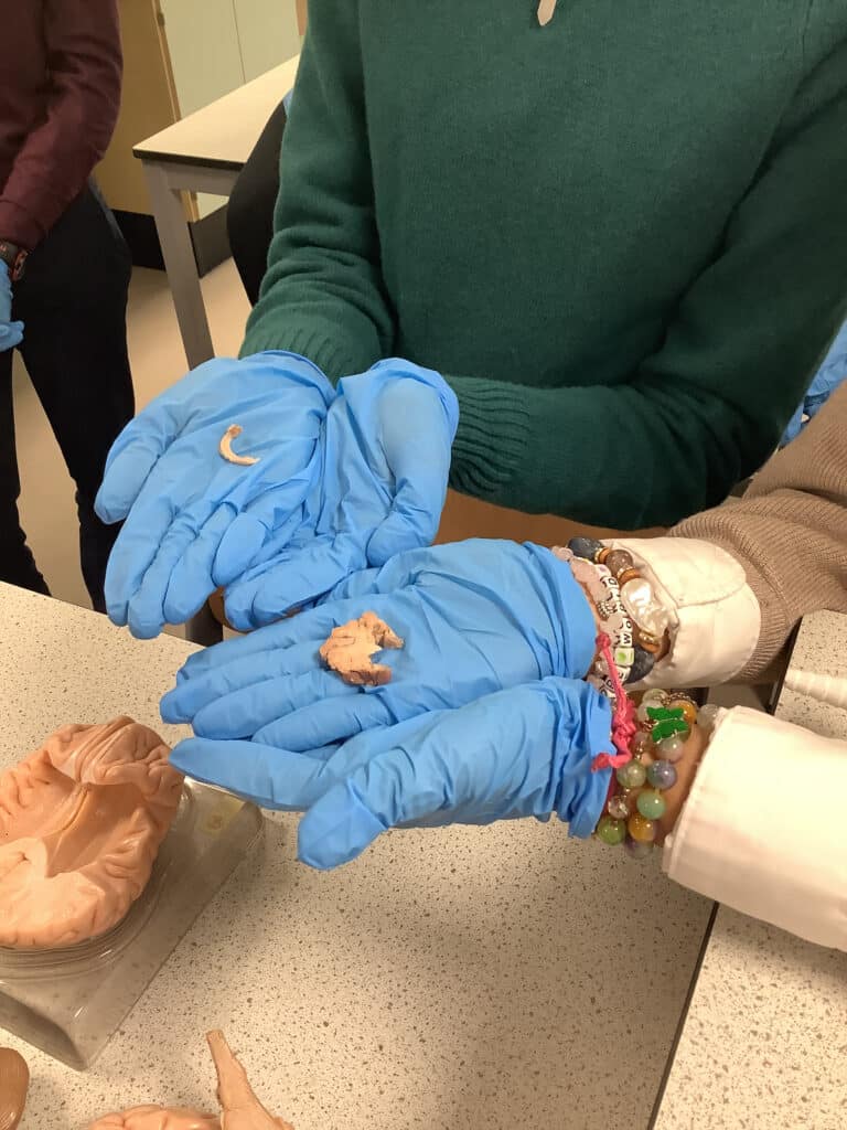 Brain Day 2023 - Caterham School